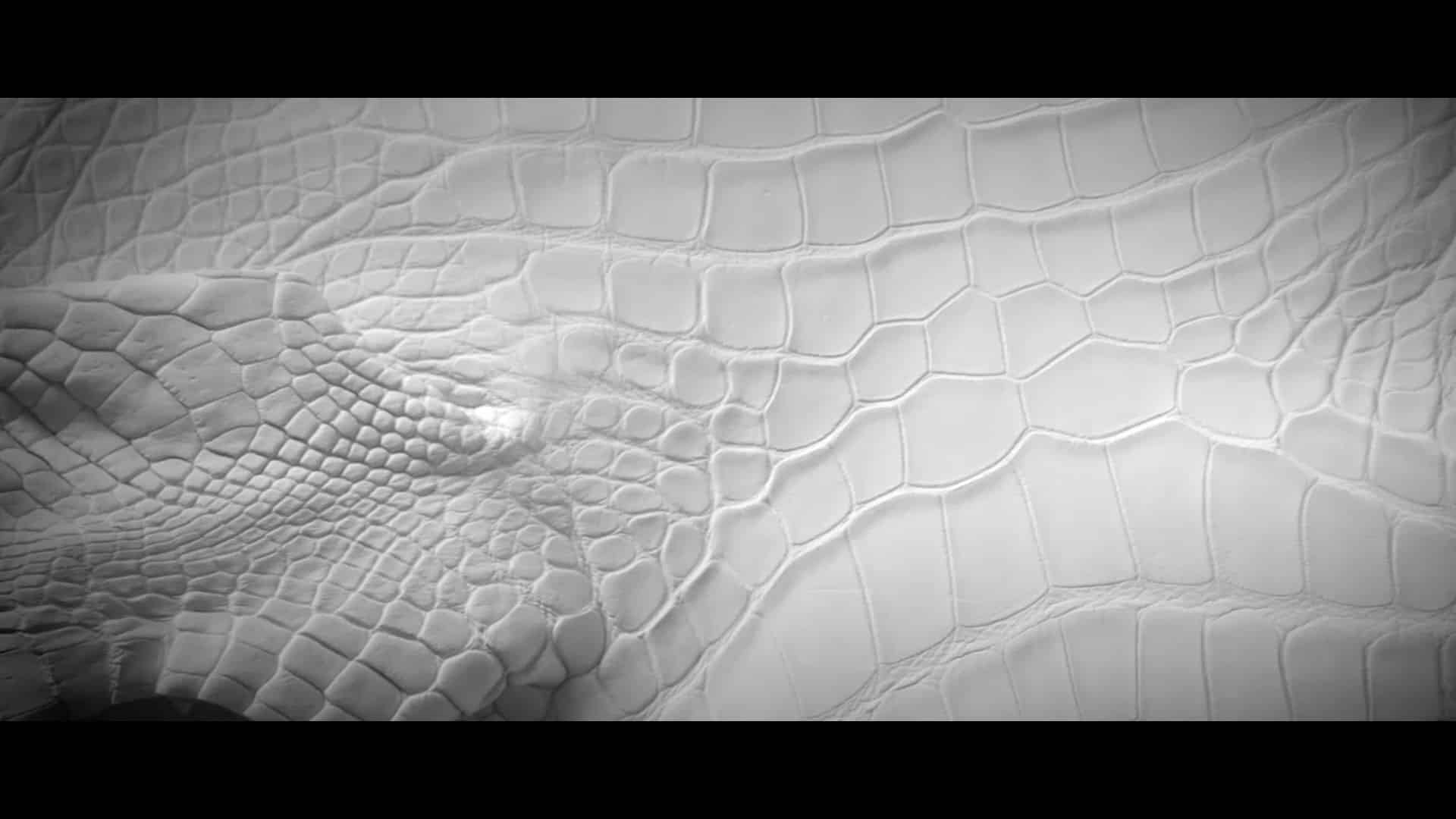 Leather watch straps, luxury leather goods : Jean Rousseau Paris